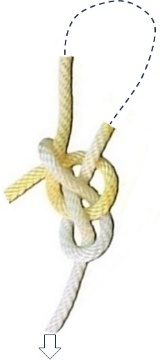 Lee's Super 8 Loop & other nipping structure - New Knot Investigations ...